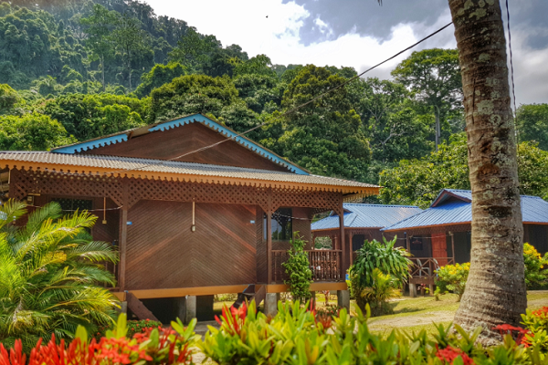 Pulau Tioman Tourist Attractions, Activities and Hotels Guide ...