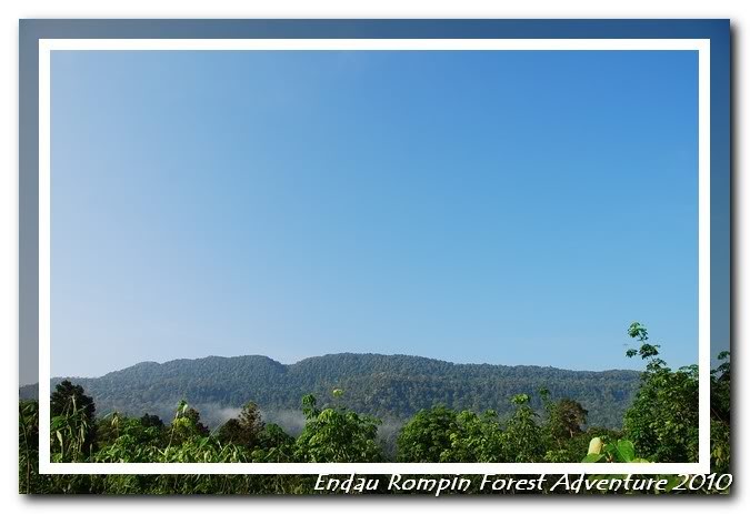 3d2n Endau Rompin National Park Adventure Tour - Day 2 - HolidayGoGoGo