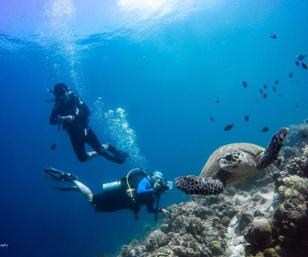 (2020 Promo) 3d2n Mabul Beach Resort Mabul & Kapalai Diving Tour ...