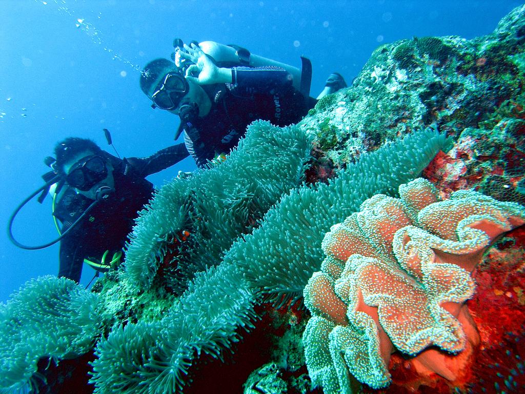 (2021 Promo) 3d2n Redang Laguna Scuba Diving Package - HolidayGoGoGo