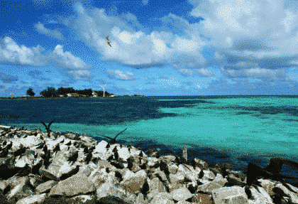 Gemia Island package Archives - HolidayGoGoGo