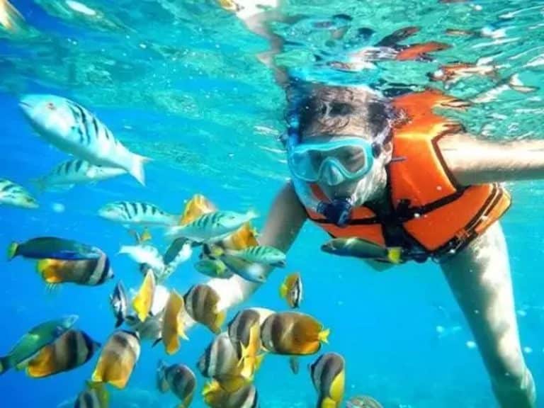 15 Fun, Fabulous Activities To Do At Tioman Island - HolidayGoGoGo