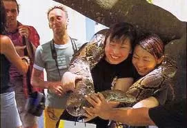 Slithering Through the Snake and Reptile Farm, Perlis - HolidayGoGoGo