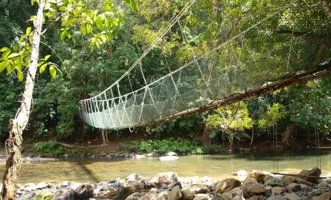 Endau Rompin National Park - HolidayGoGoGo