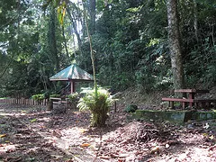 Bukit Gemok – Back to the Mother Nature - HolidayGoGoGo