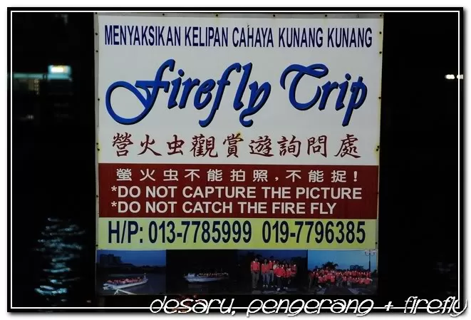 Desaru, Pengerang and Firefly Day Tour - Firefly Tour - HolidayGoGoGo