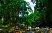 Setiu Tourist Attractions, Activities and Hotels Guide - HolidayGoGoGo