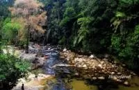 Kulim Tourist Attractions, Activities and Hotels Guide - HolidayGoGoGo