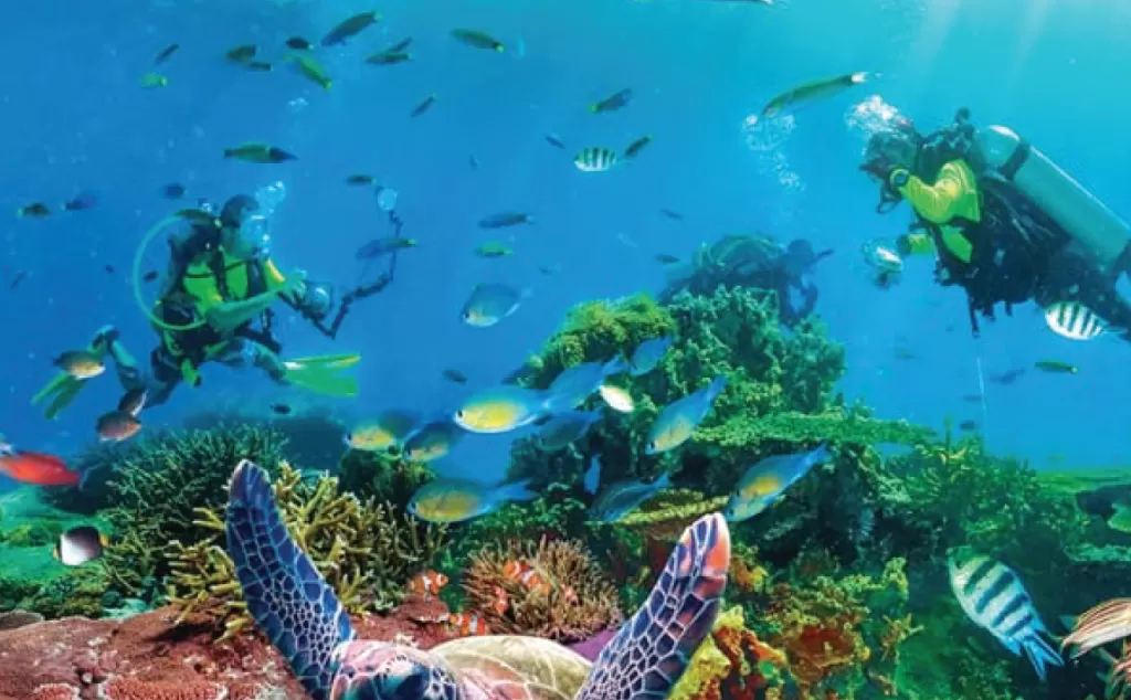 15 Fun, Fabulous Activities To Do At Tioman Island - HolidayGoGoGo